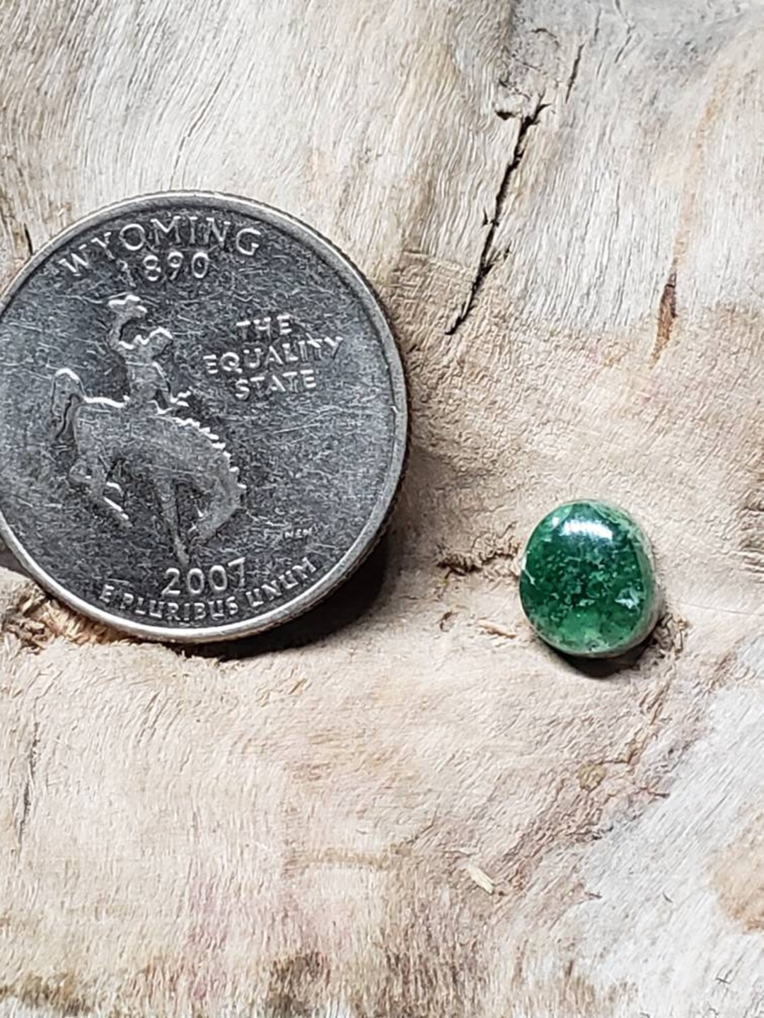 Yellowstonegem ET Natural Yellowstone Variscite Cabochon 5 Carats No ...