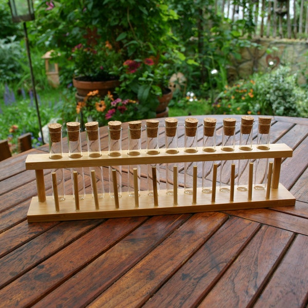 Test Tube Spice Rack - Etsy