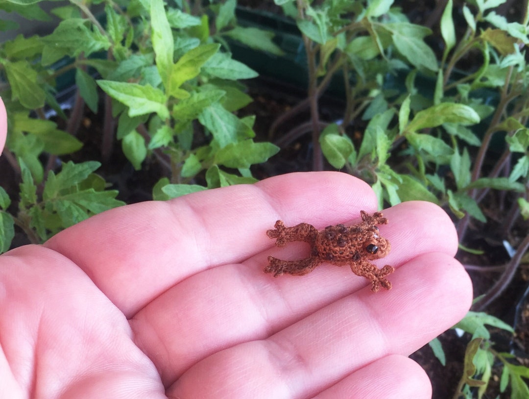 Miniature Brown Tree Frog Crochet Brown Tree Frog Miniature Animal ...