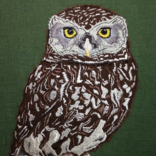 Raw Edge Applique Embroidery Machine Design Pattern Digital - Etsy UK