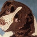 Raw Edge Applique 'nell the Springer Spaniel' - Etsy