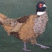 Raw Edge Applique 'mr Pheasant' - Etsy