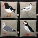 Raw Edge Applique Design 'puffin' Lavender Bag - Etsy