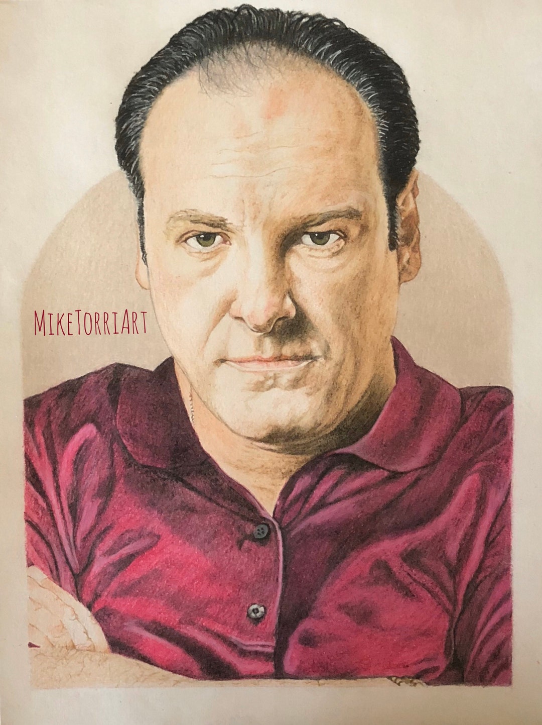 Tony Soprano-james Gandolfini Color Pencil Drawing Print - Etsy