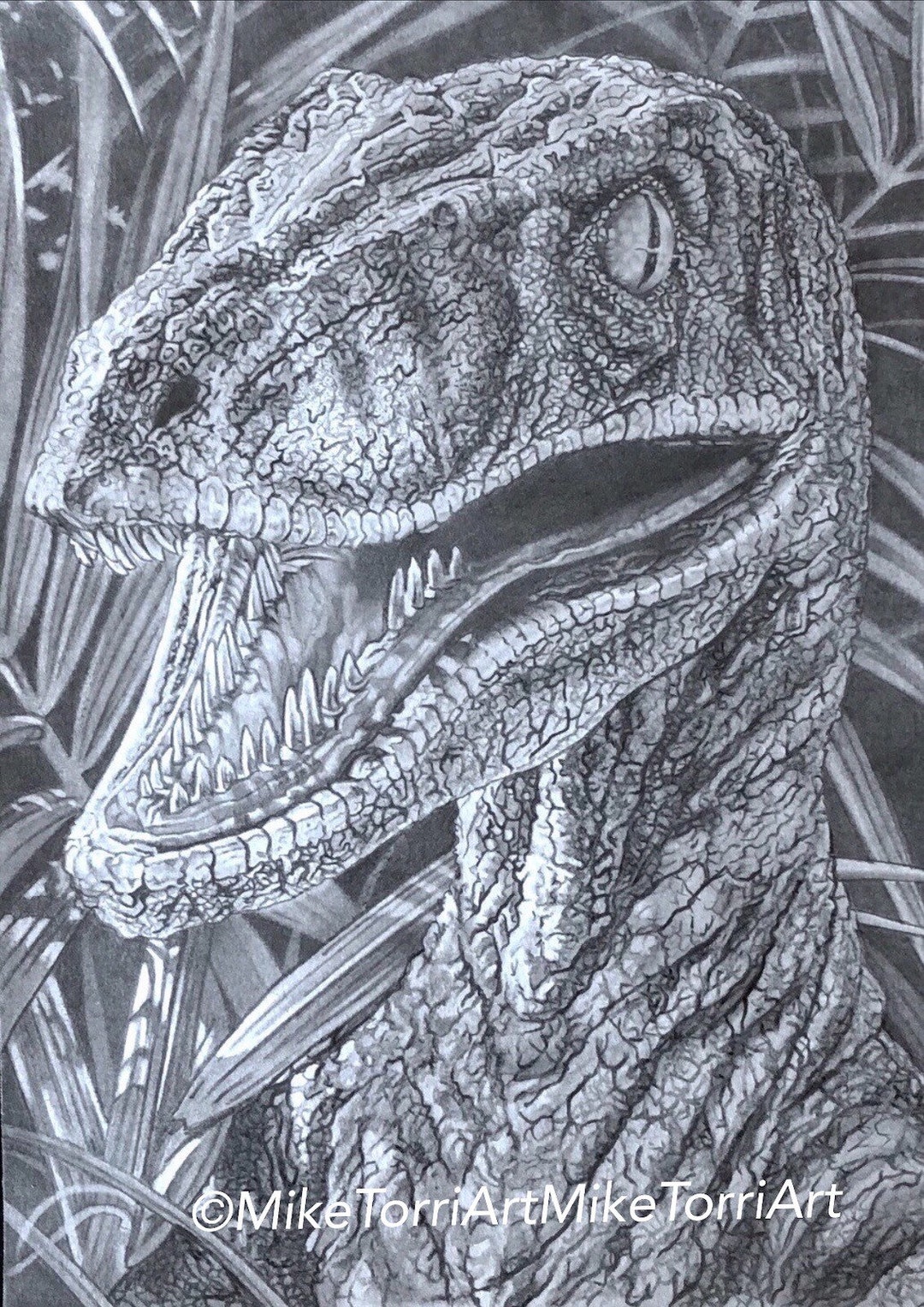 Raptor Pencil Drawing Print - Etsy