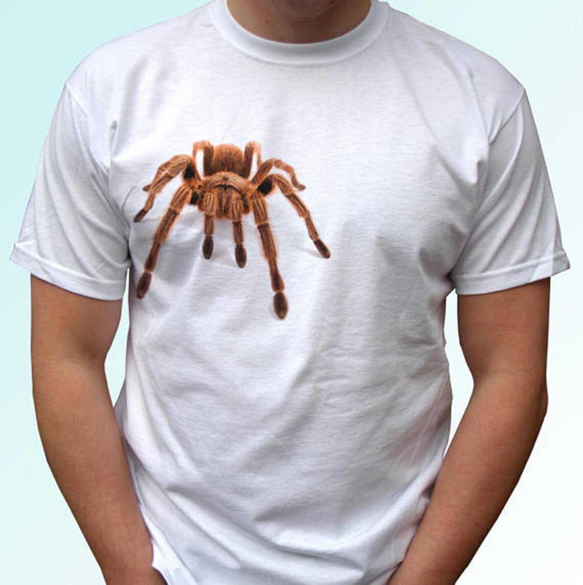 Tarantula White T Shirt Top Spider Tee Design Art Mens - Etsy UK