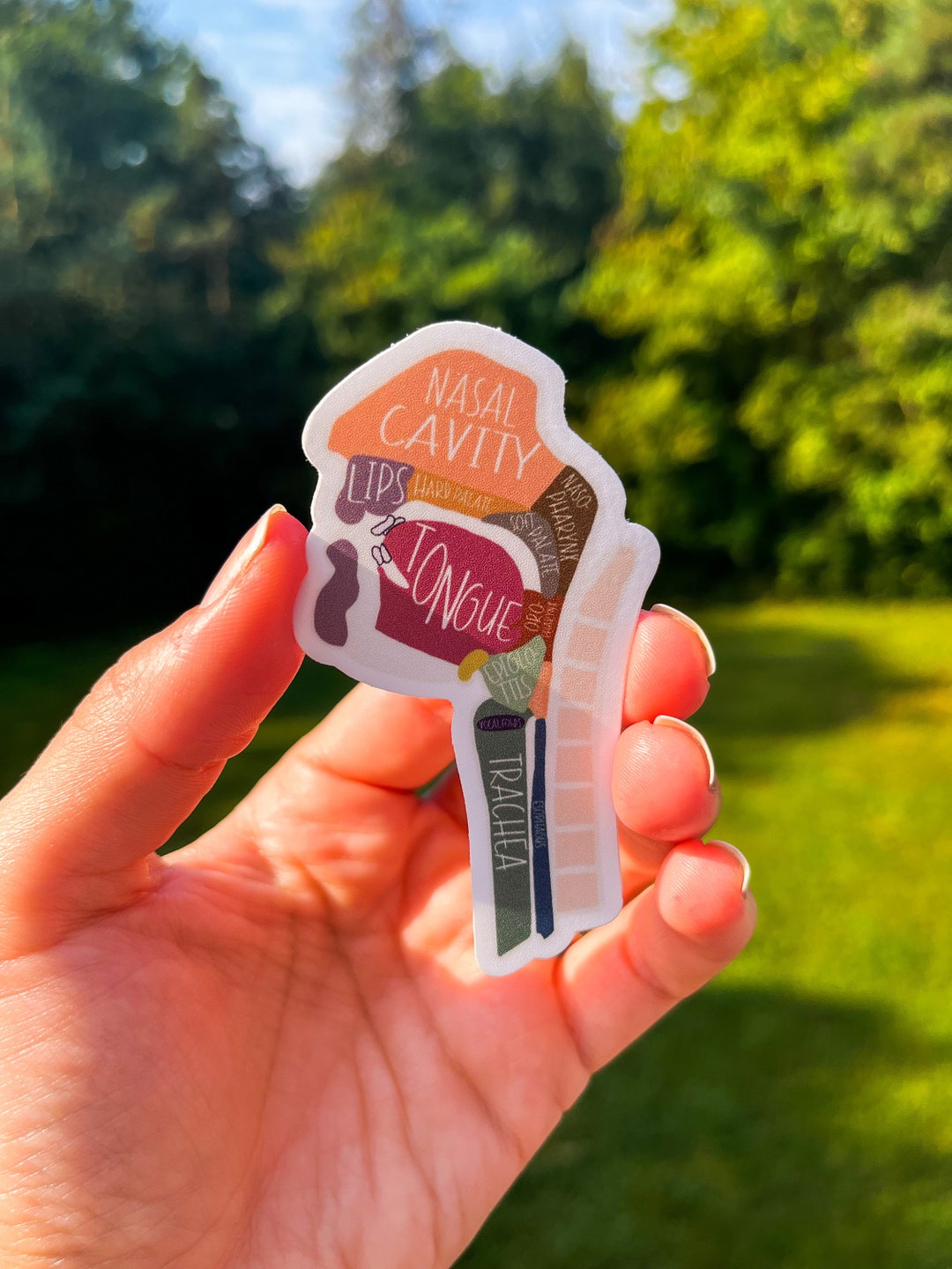 Aspiration Anatomy - Etsy