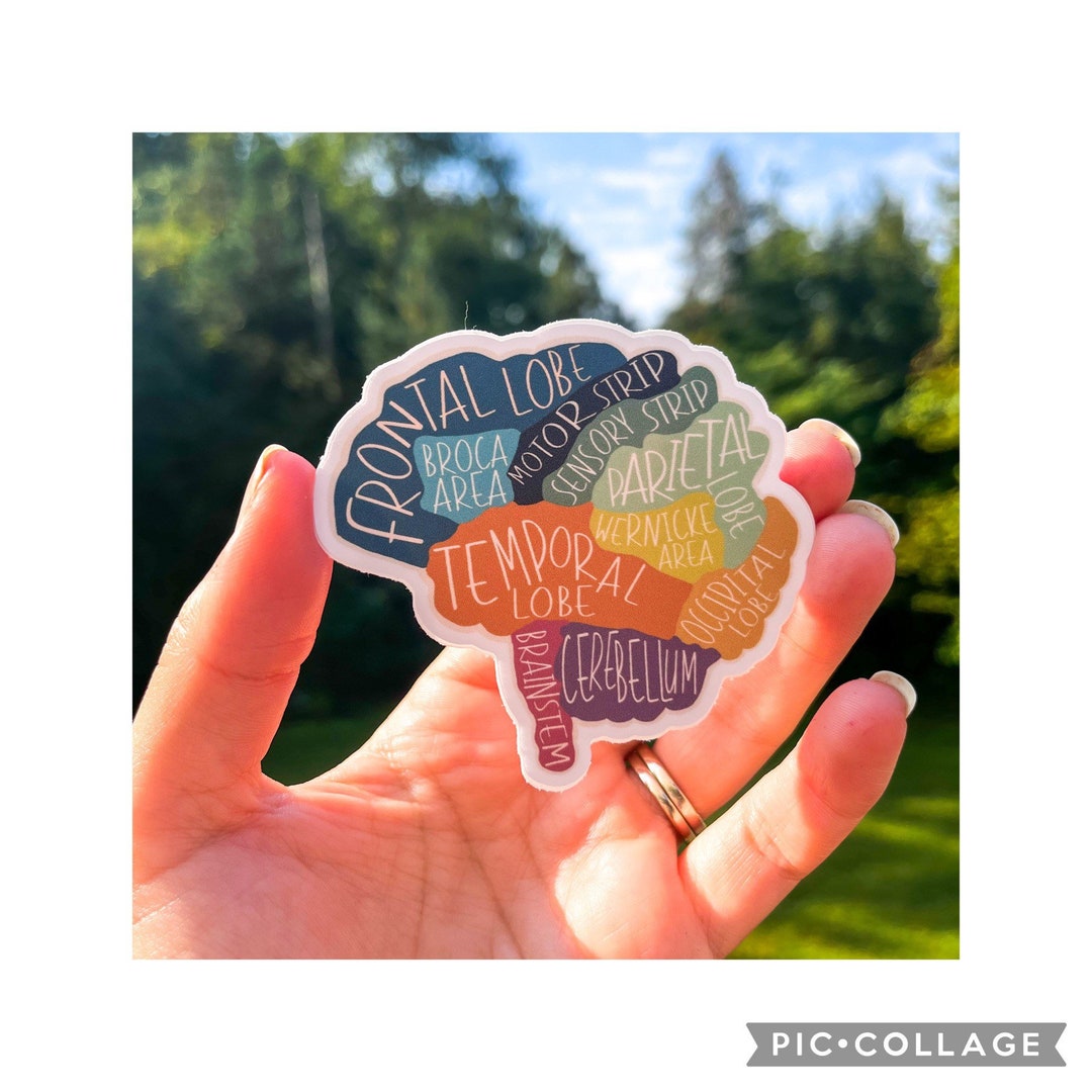 The Brain - Etsy