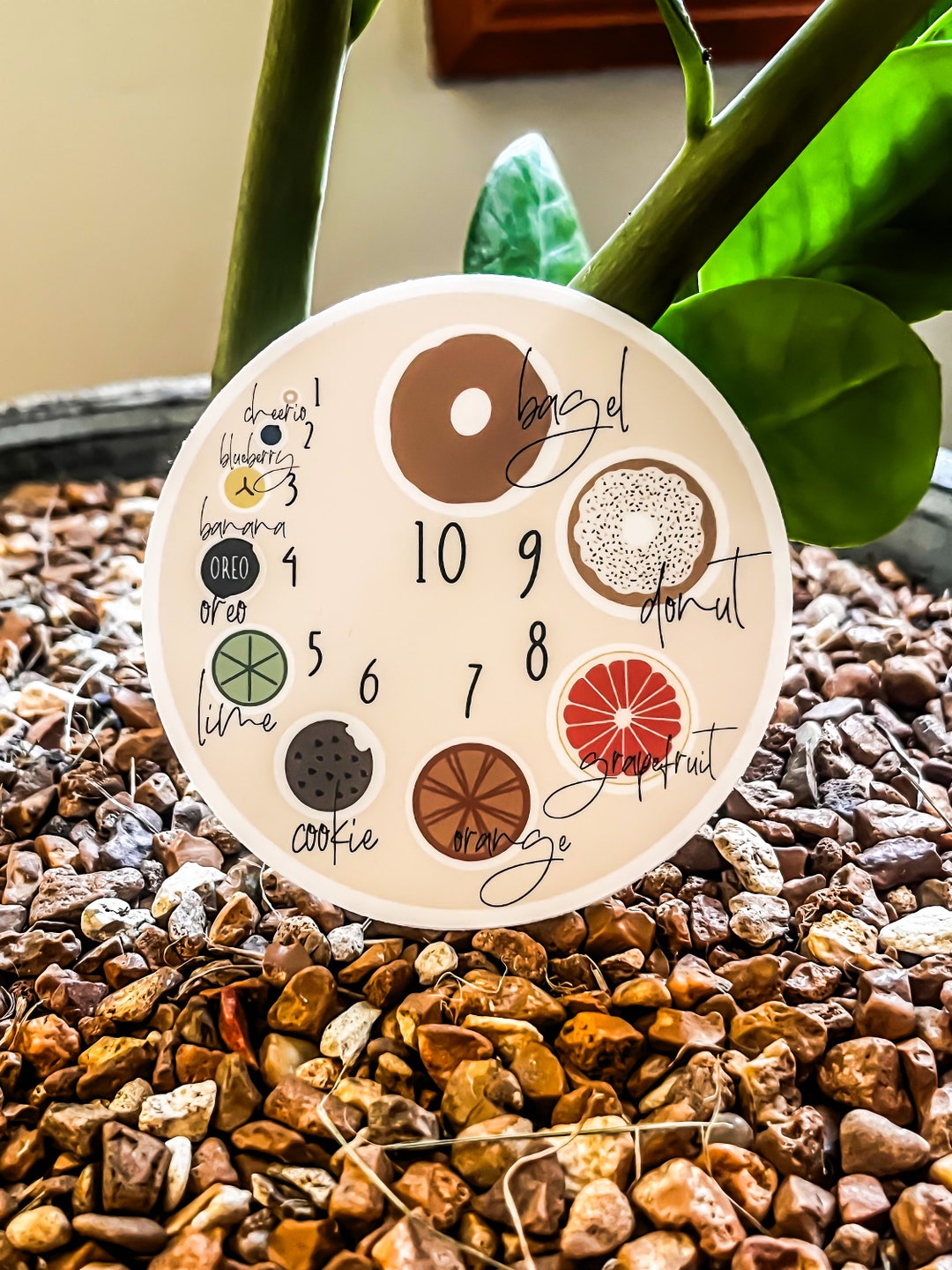 The Dilation Chart - Etsy