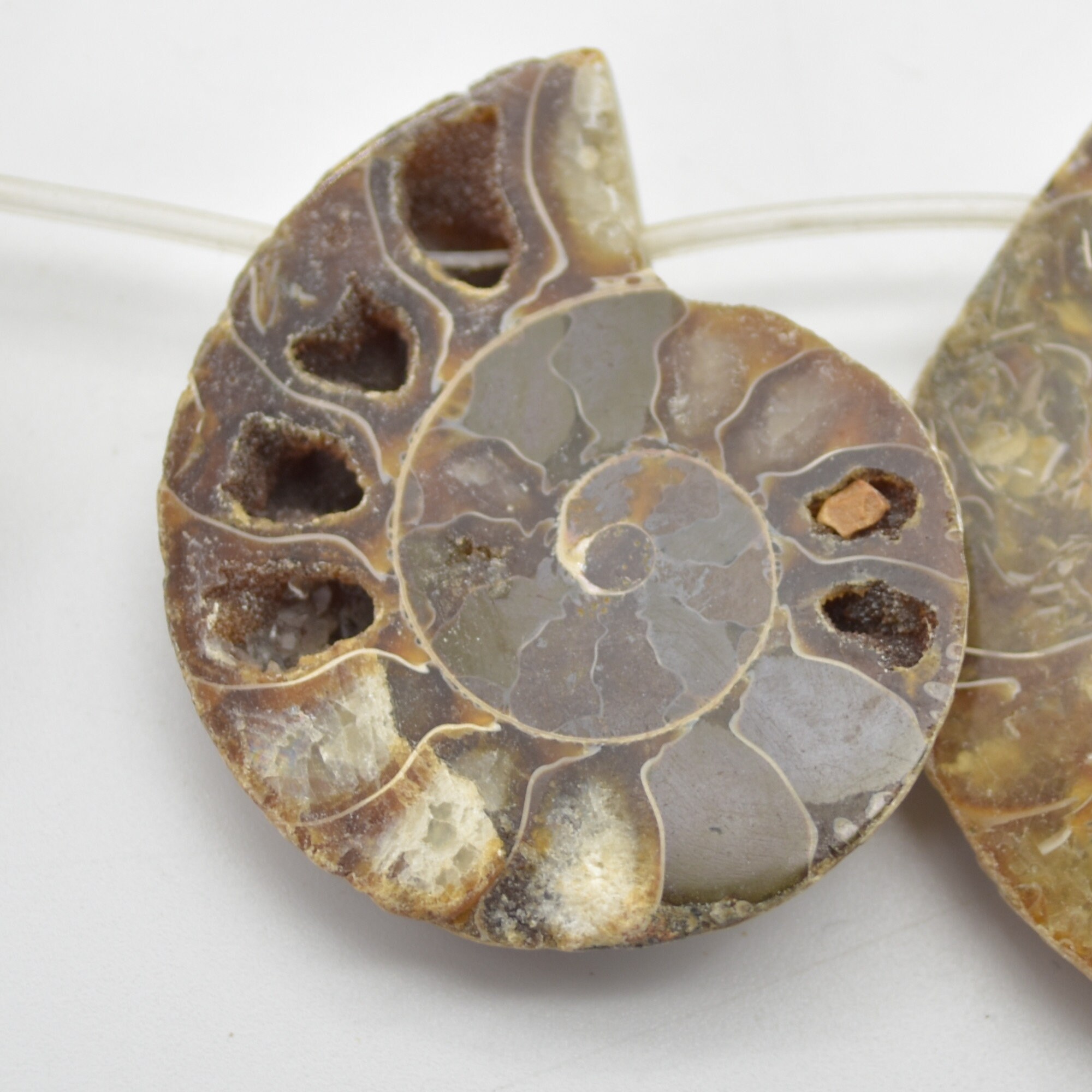 Jewelry & Beauty Craft Supplies & Tools 15 strand Ammonite Fossil ...