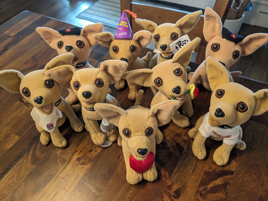 Taco Bell Dogs - Chihuahuas! A Whole Litter! - Etsy
