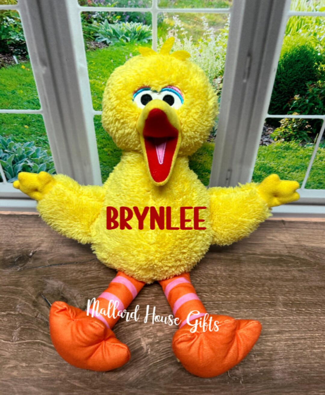 Personalized Big Bird Sesame Street - Etsy