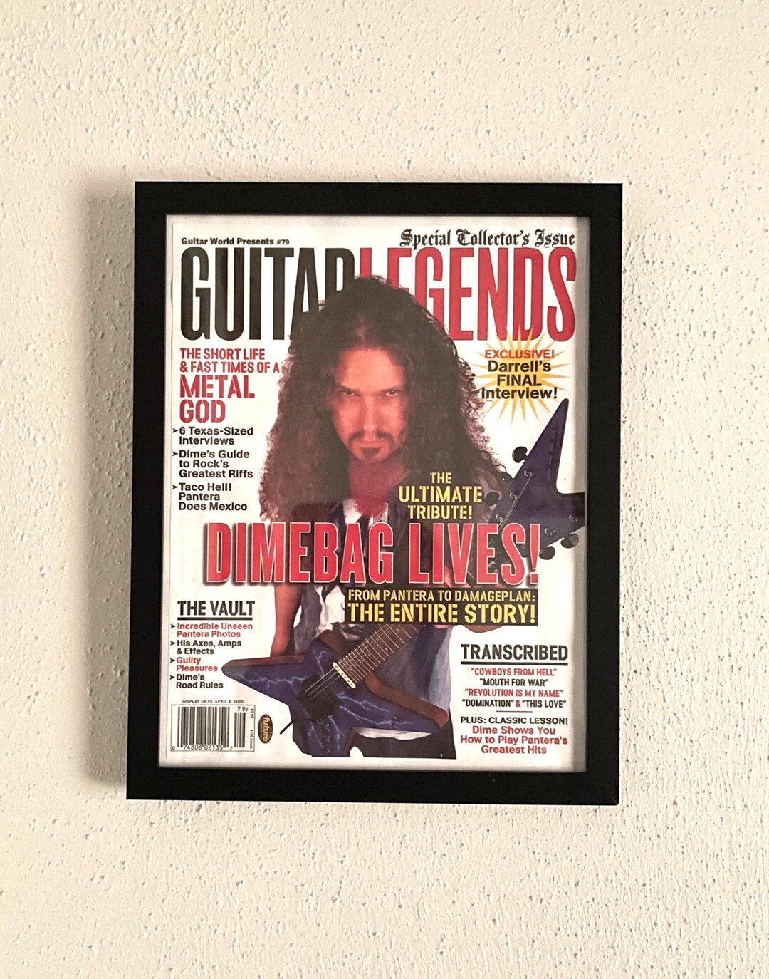 Dimebag Darrell the Ultimate Tribute Framed 8.5x11 Vintage Collectible ...