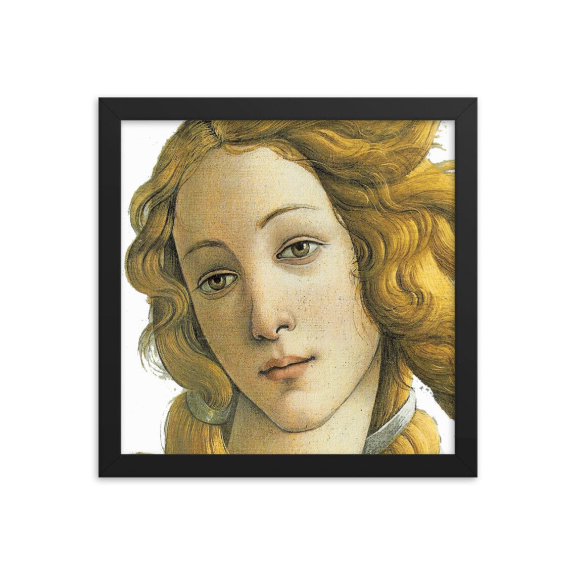 Botticelli Venus Fine Art Classical Renaissance Artist - Etsy
