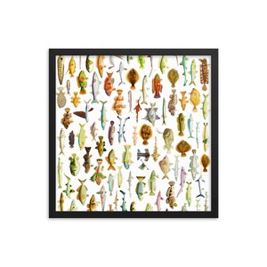 Fish Fishing Fisherman Aquarium Angler Chart Framed Poster - Etsy
