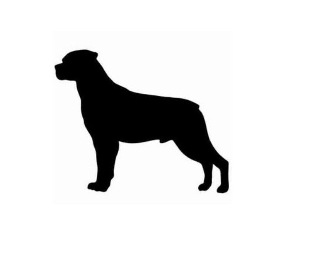 Dog Rottweiler Ironing Picture Application Press Patch Plott for Shirt ...