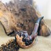 Smoking Pipe lizard Tobacco Pipe Wood Pipes Wood Carved Smoking Pipes ...