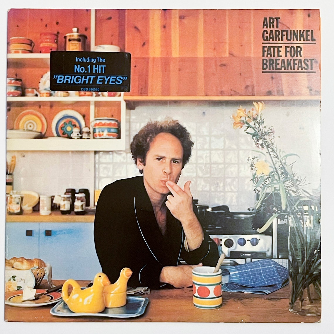 Art Garfunkel - Fate for Breakfast / Vinyl Record LP Music Album / 1979 ...