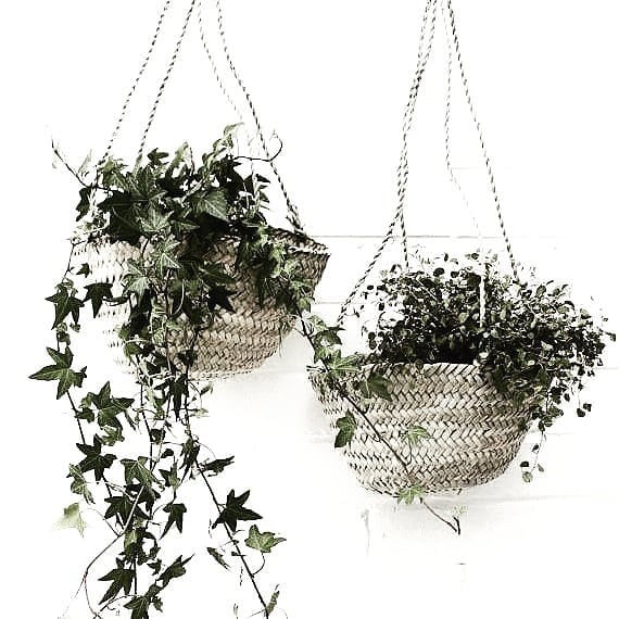 Panier suspendu - Etsy France