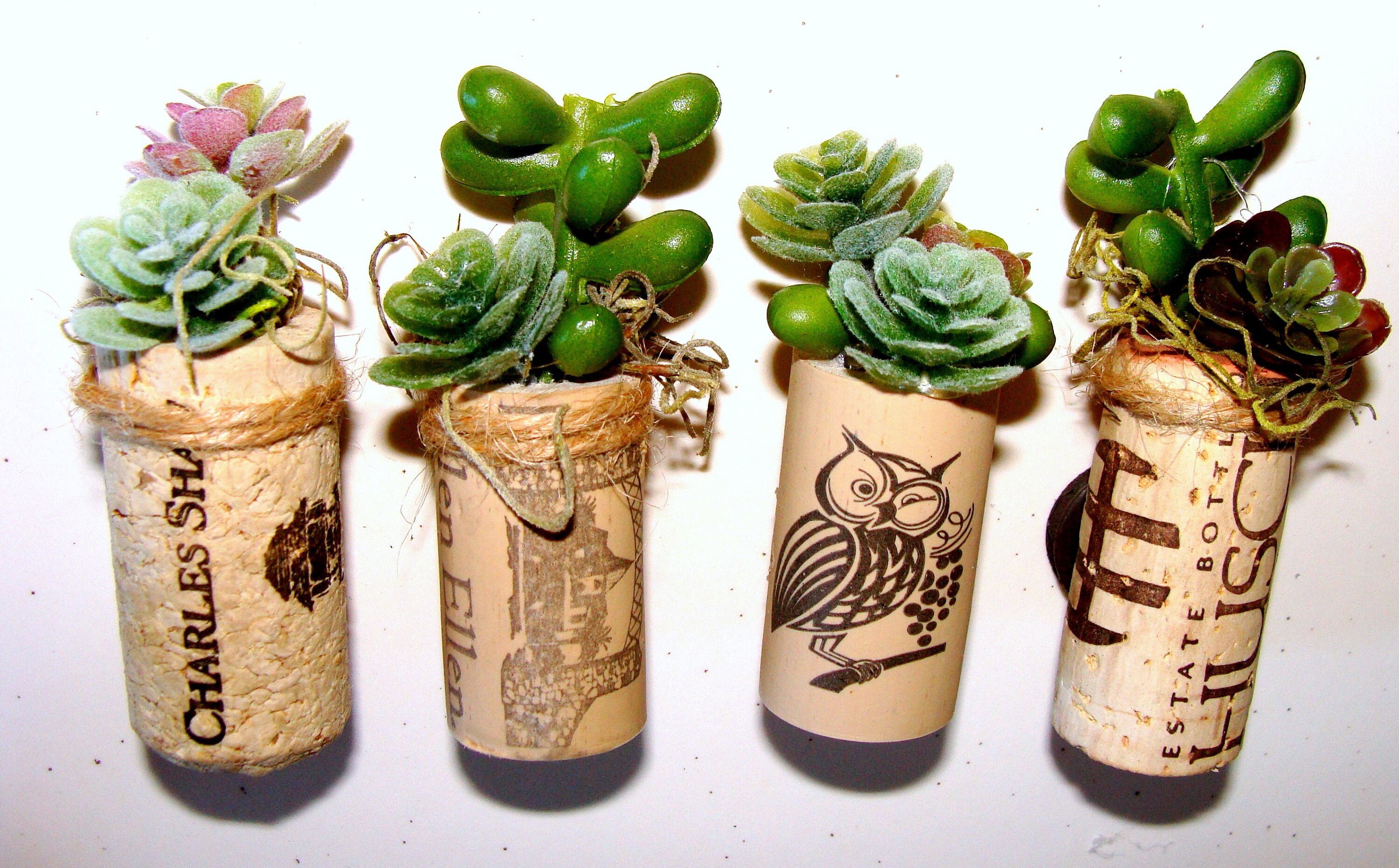 1 Artificial Succulent Wine Cork Magnet | Etsy