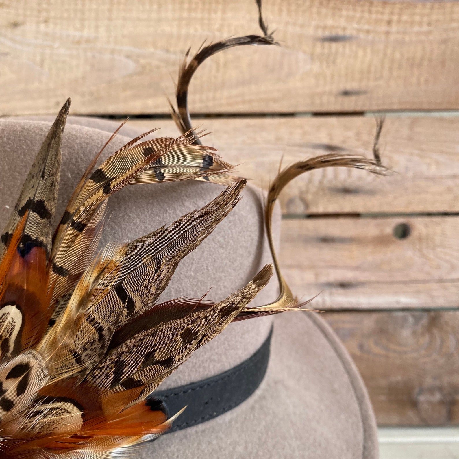 Shawl Pin Hat Pin Feather Pin Feather Brooch Lapel Pin Racing | Etsy