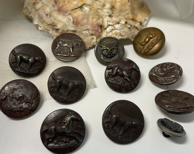 Antique French Hunting Buttons - Horses - Dogs - Boar - 1900s - Etsy
