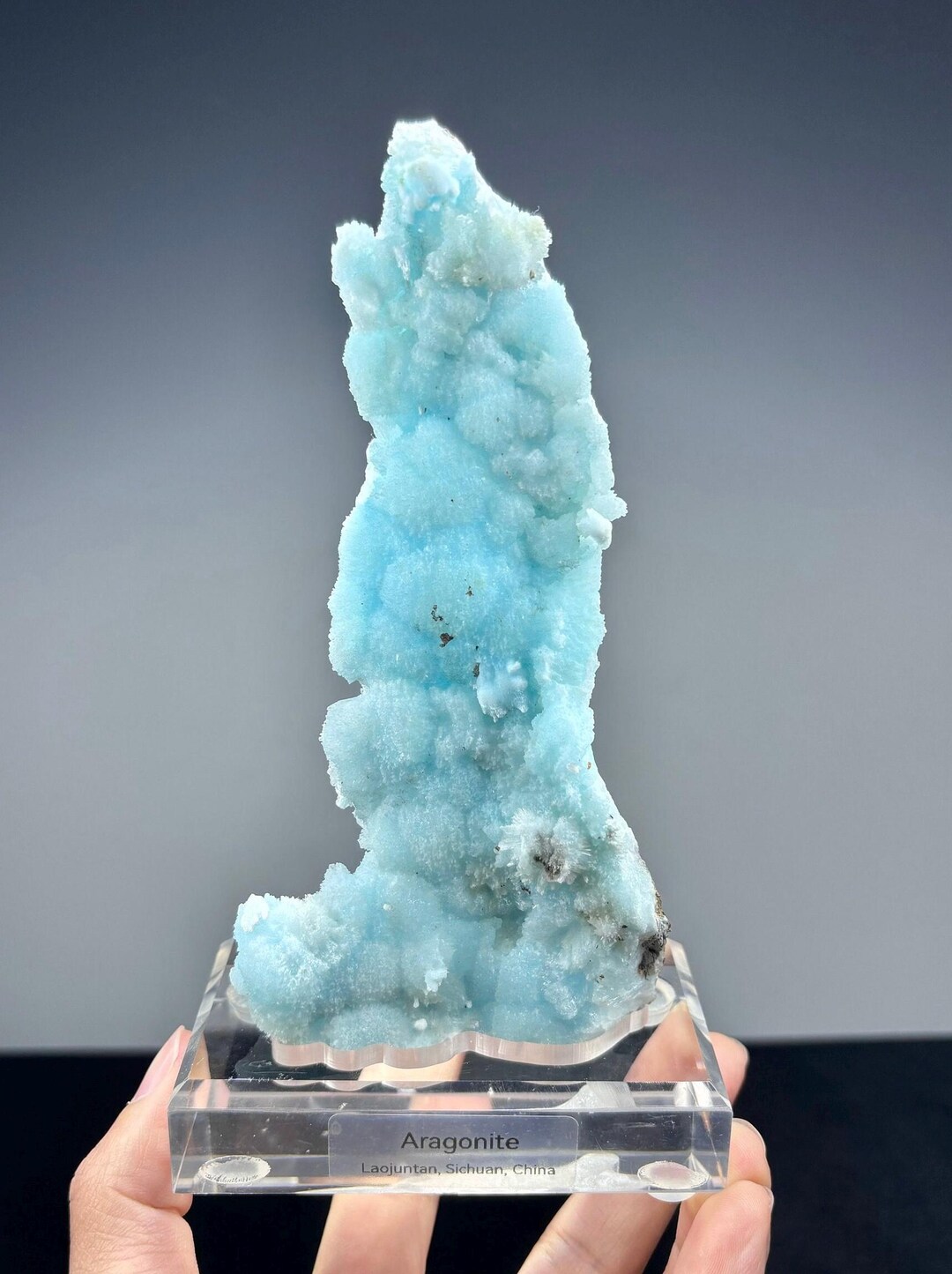 Aragonite With Botryoidal and Branching From Sichuan, China - Etsy