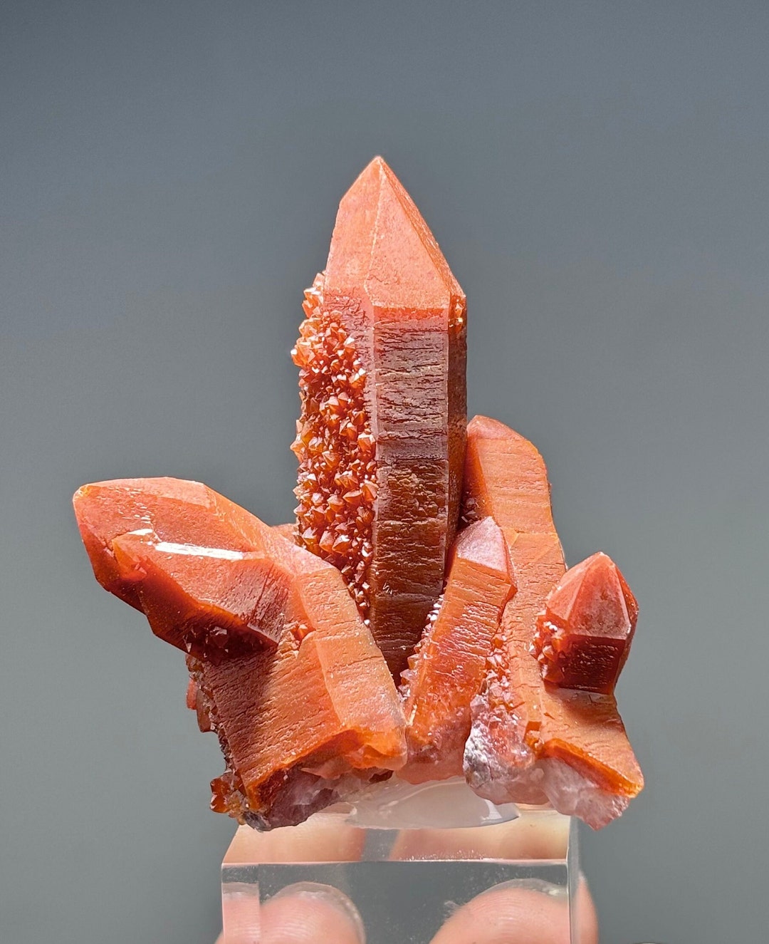 Red Quartz From Red Quartz From Tinjdad, Morocco / Raw Mineral Specimen ...