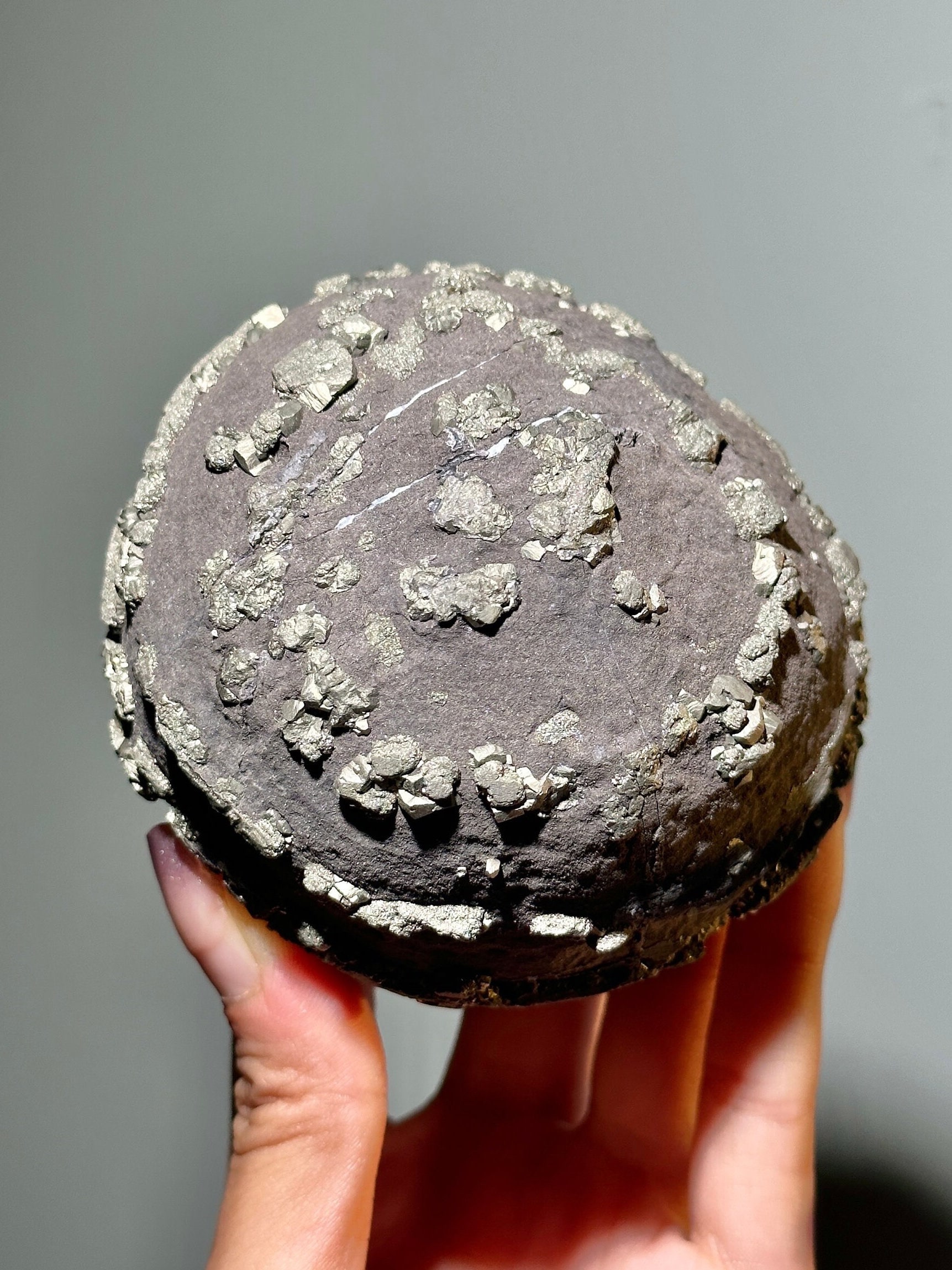 Unique Pyrite Concretion From Yunnan, China / Mineral Specimens Raw ...