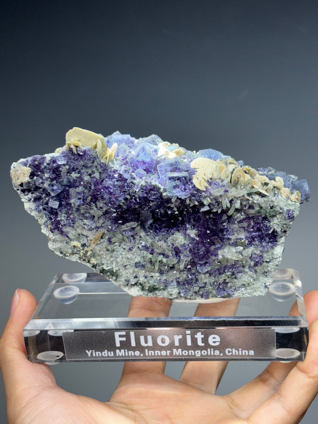 Fluorite With Siderite Glassy Cubic Formation With Purple Phantom From ...