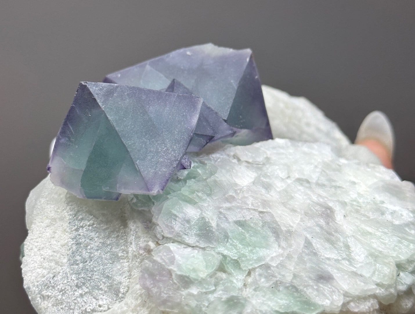Purple Blue Octahedral Fluorite From Dean / Raw Mineral Specimen Geode ...