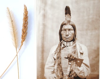 Chief Low Dog - Etsy