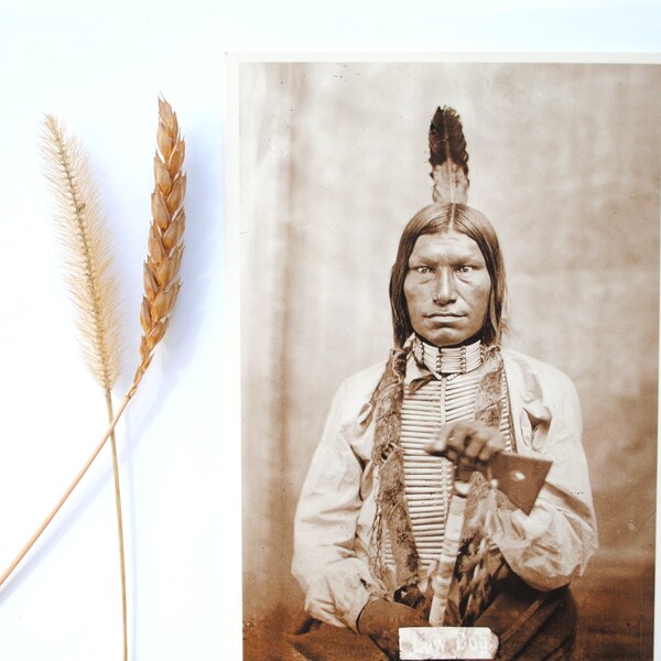 Chief Low Dog - Etsy