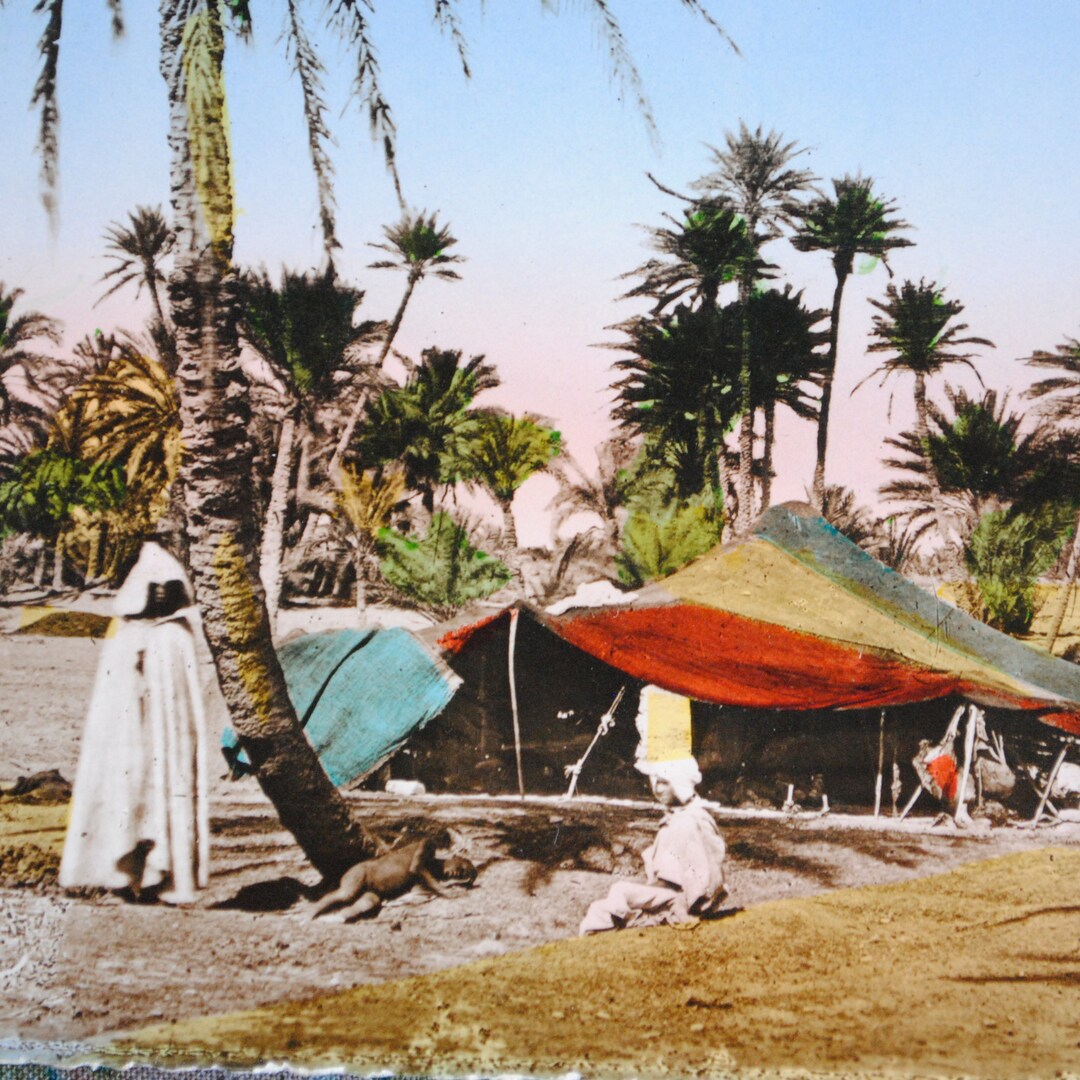 African Wall Art Berber Tent of Nomads in Algeria Bedouin in an Oasis ...