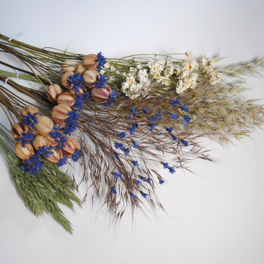 Assorted Blue Dried Flowers Blue Country Bouquet Dried Flower Box ...
