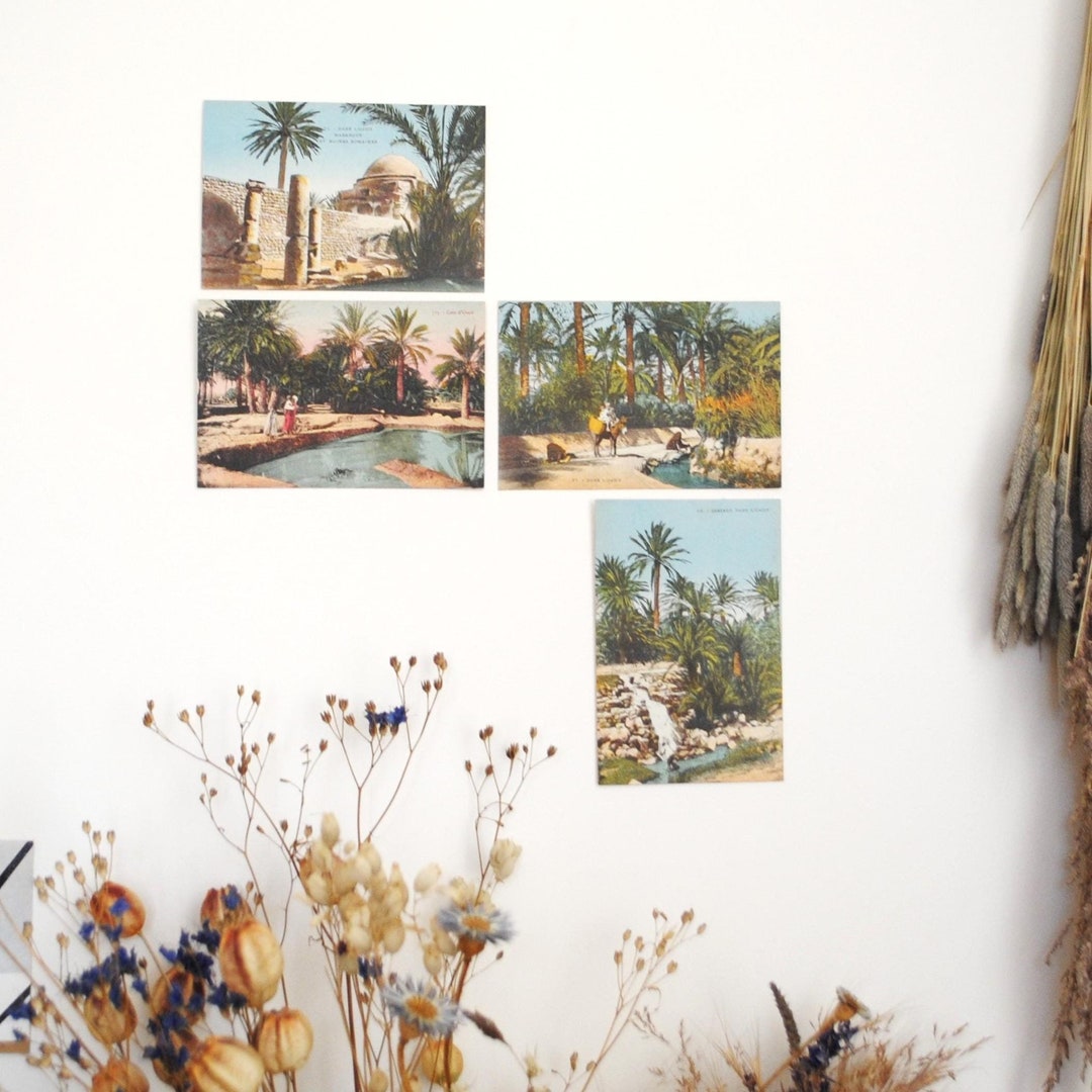 Vintage African Postcard Vintage Print of African Landscapes in the ...