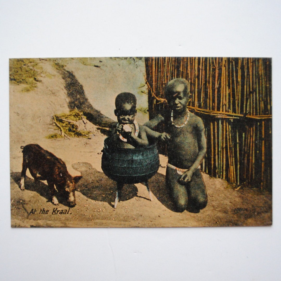 Zulu African Native Tribe Rare Vintage Postcard South Africa African ...