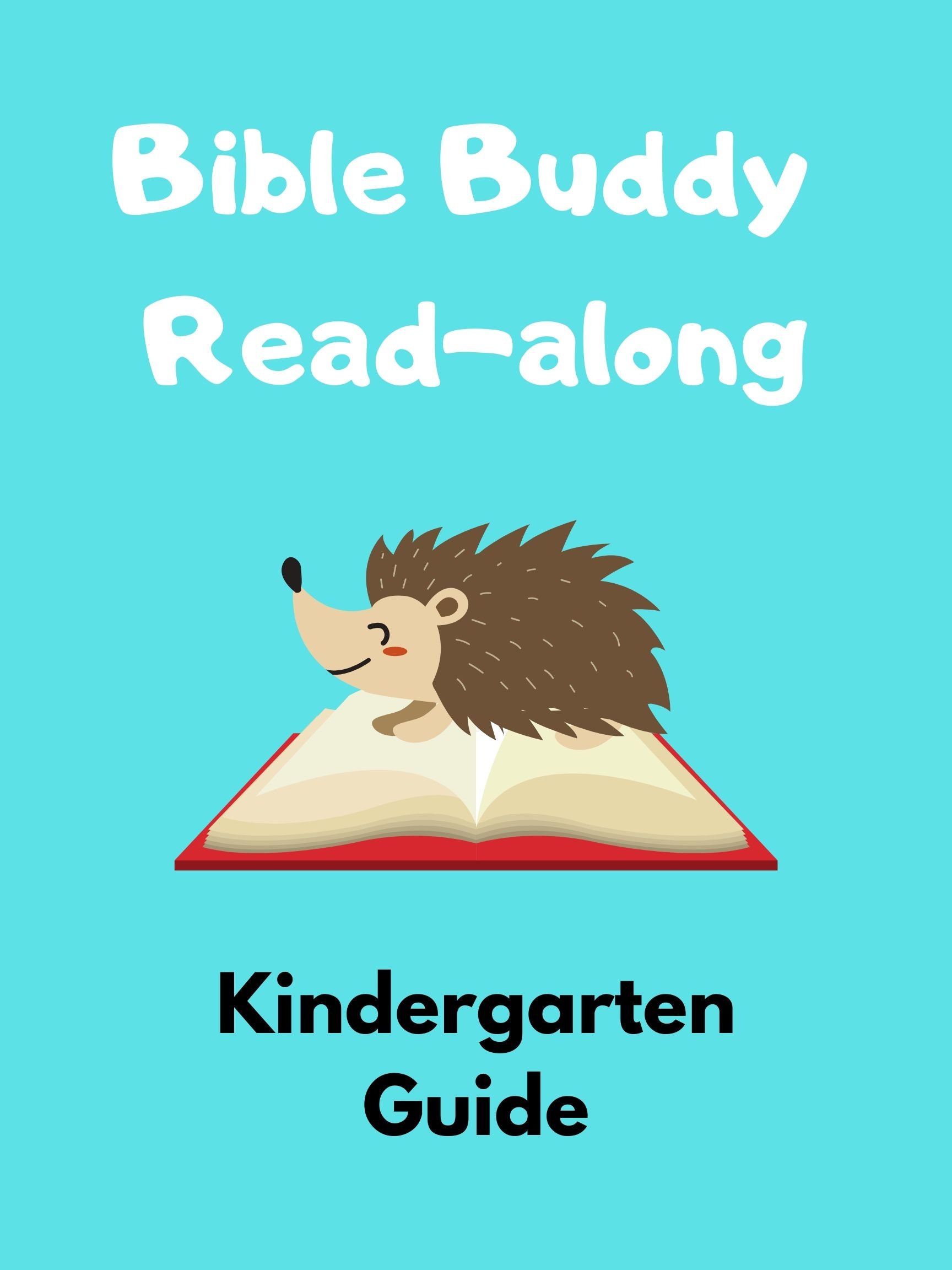 1st Bible Buddy Read-along FULL SET - Etsy