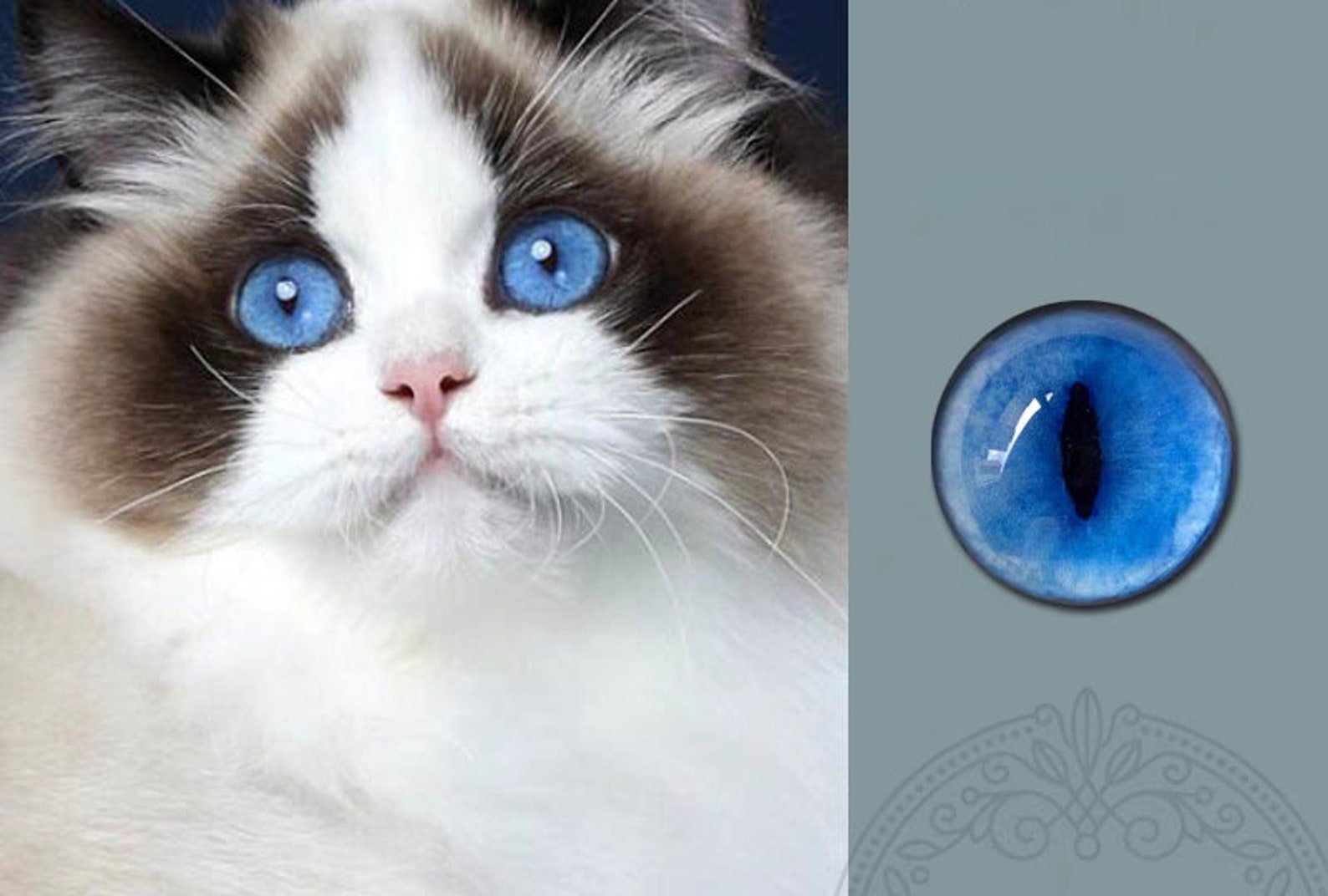 Ragdoll Cat Eyes Glass Eyes for Toys Blue Cat Eyes Felted Toys Eyes Diy ...