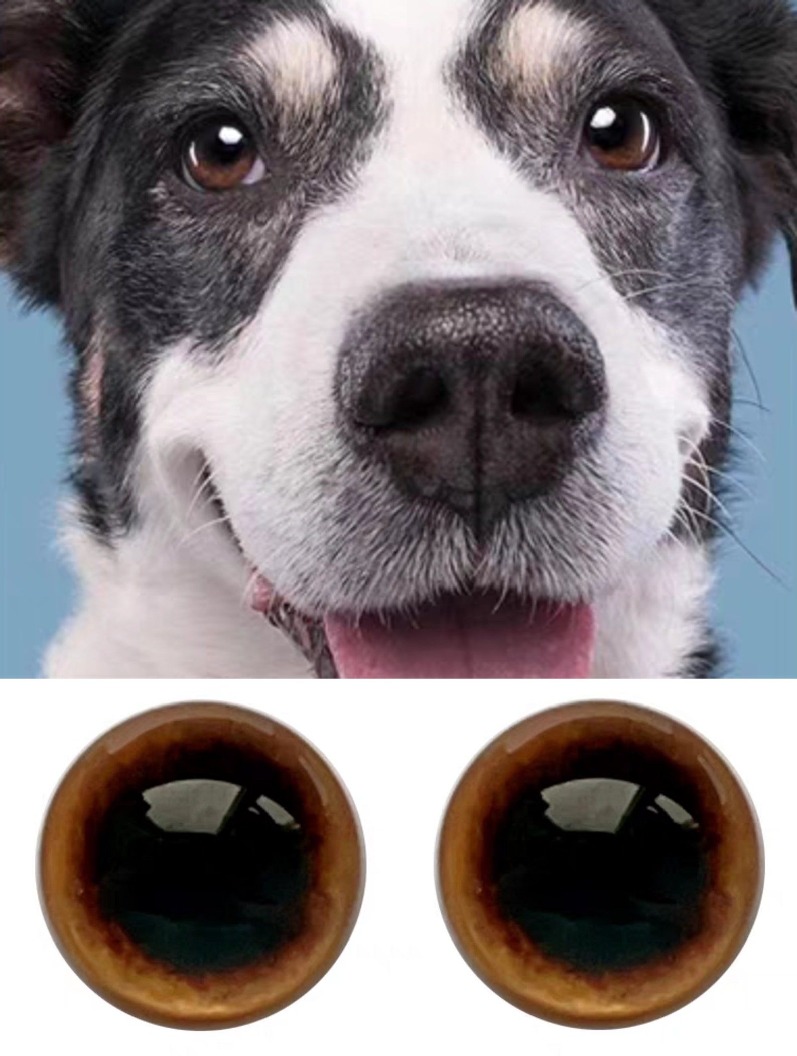 Brown Dog Eyes Black Dark Brown Eyes for Toys Diy Glass Eyes Felted Dog ...