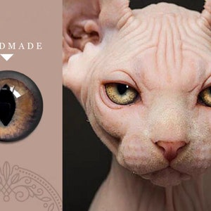 Sphynx Cat Eyes Glass Eyes for Toys Light Brown Cat Eyes Felted Toys ...