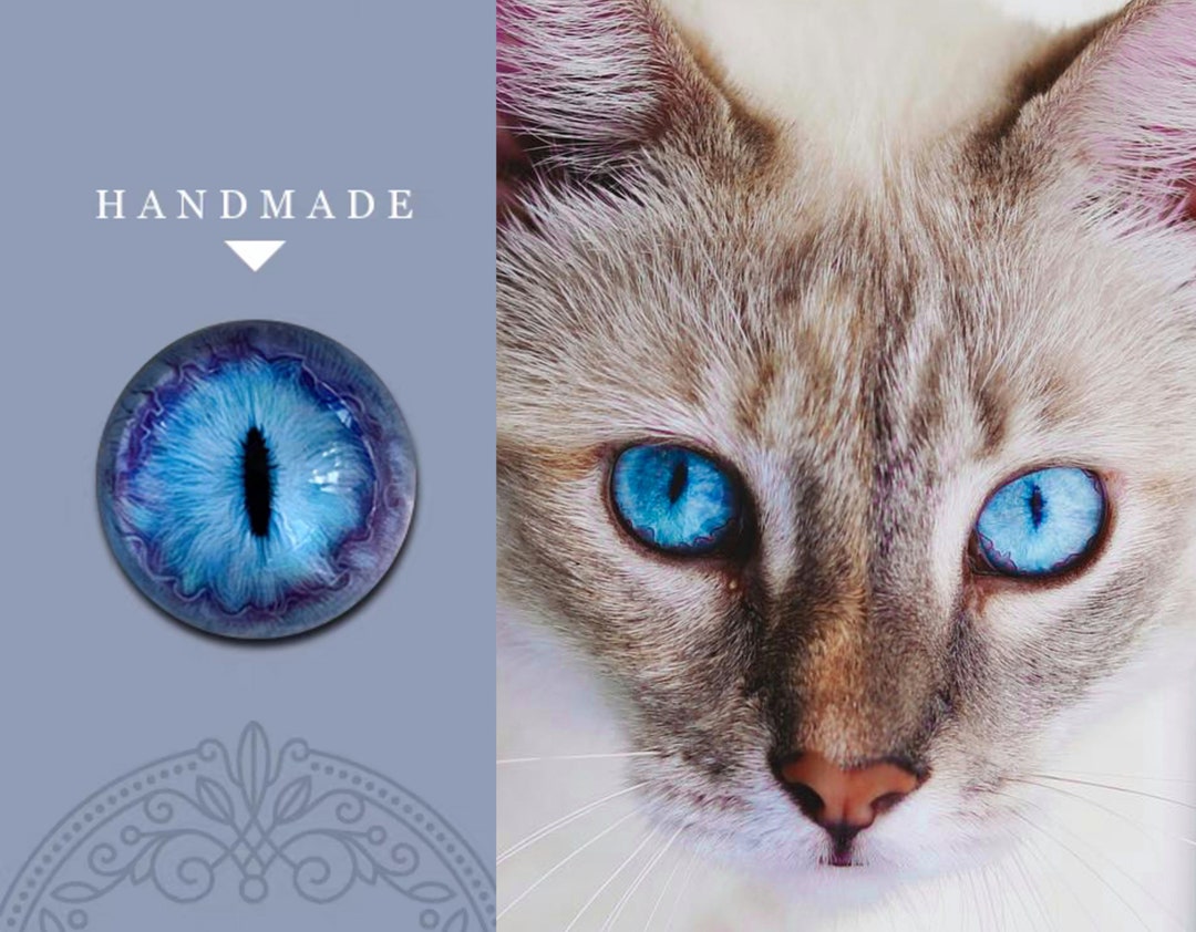 Realistic Blue Cat Eyes Glass Eyes for Toys Cat Eyes Felted Toys Safety ...
