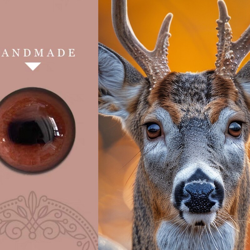 Deer Eye Safety - Etsy