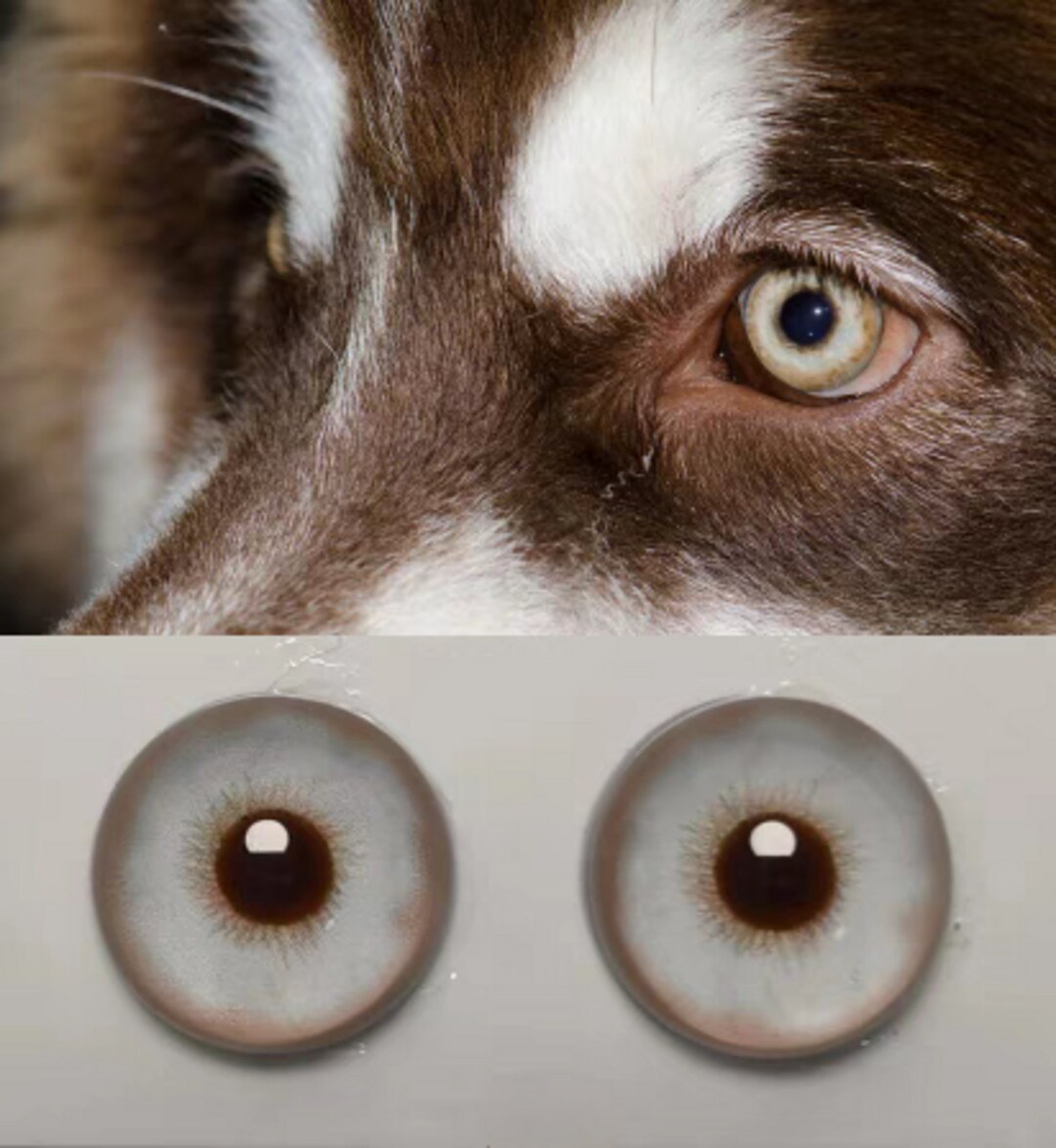 Realistic Husky Eyes Gray Dog Eyes Diy Glass Eye Cabochons Light Silver ...