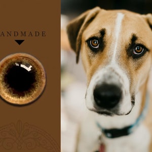 Realistic Golden Dog Eyes Hazel Glass Eye Cabochons Honey Puppy Doll ...
