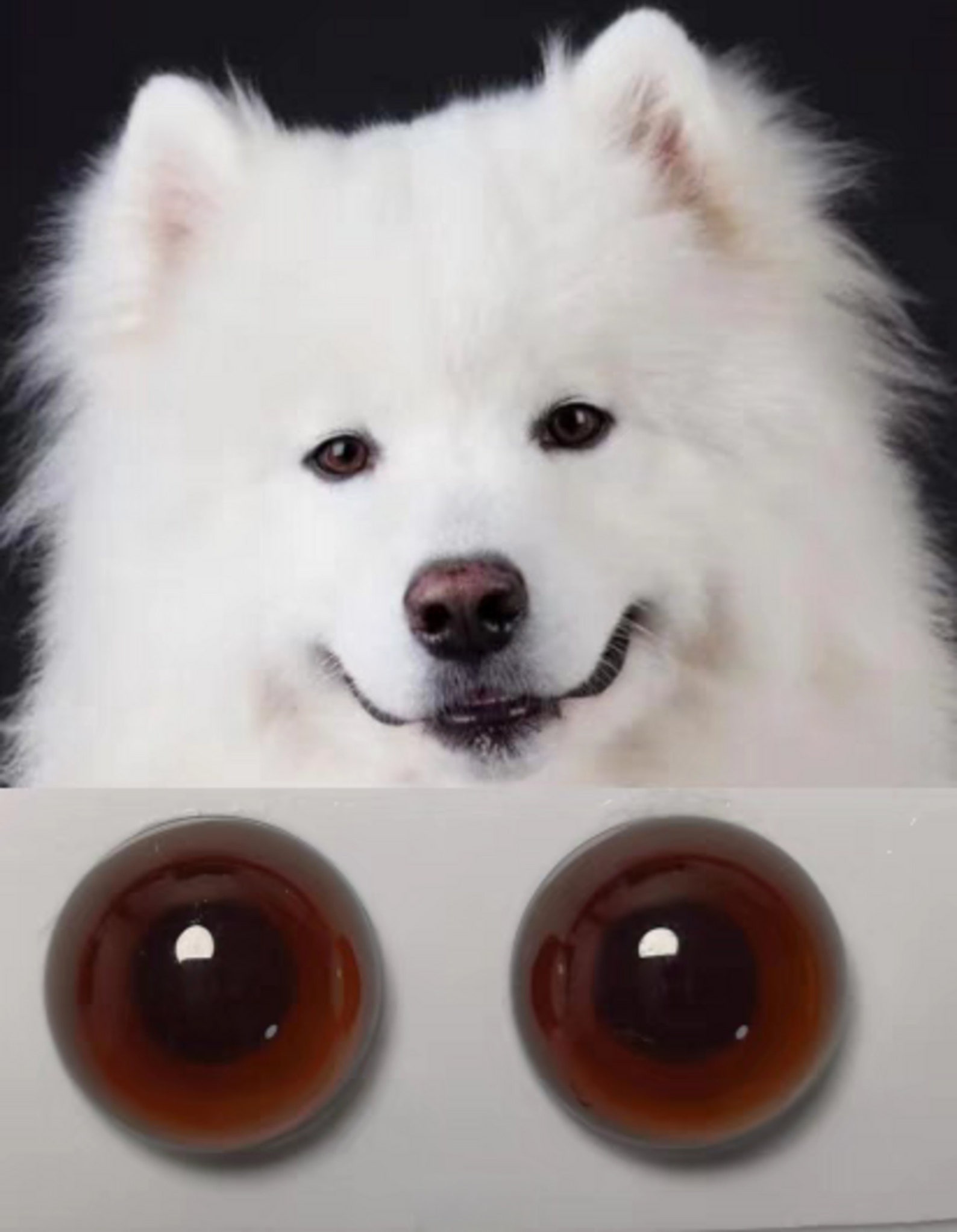 Realistic Brown Dog Eyes Diy Glass Eye Cabochons Dark Brown Eyes for ...