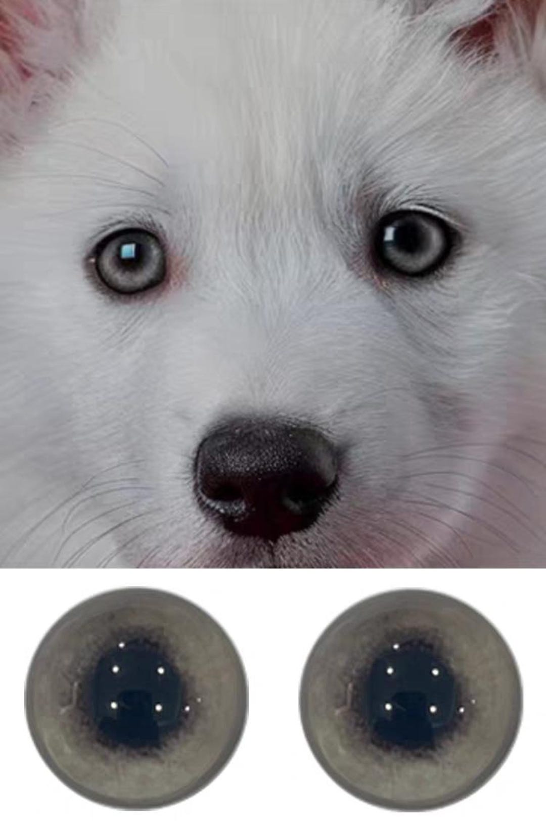 Grayish Puppy Eyes Grey Dog Eyes for Toys Puppy Glass Eyes Felted Dog ...