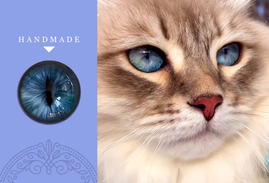 Realistic Blue Cat Eyes Glass Eyes for Toy Cat Eyes Felted Toy Eyes Diy ...