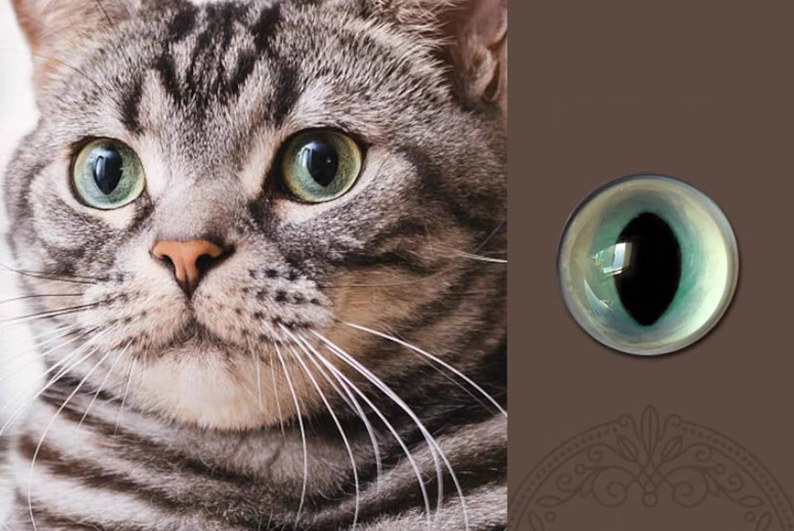 Light Green Cat Eyes Glass Eye Cabochon Eyes for Toys Felted Cat Eyes ...