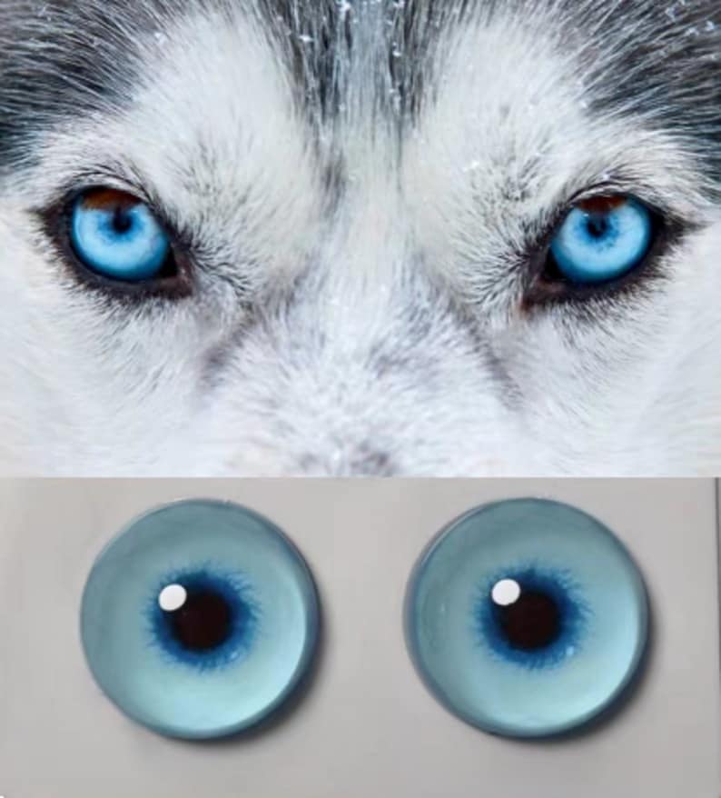Realistic Blue Dog Eyes Diy Husky Glass Eye Cabochons Light Blue Eyes ...